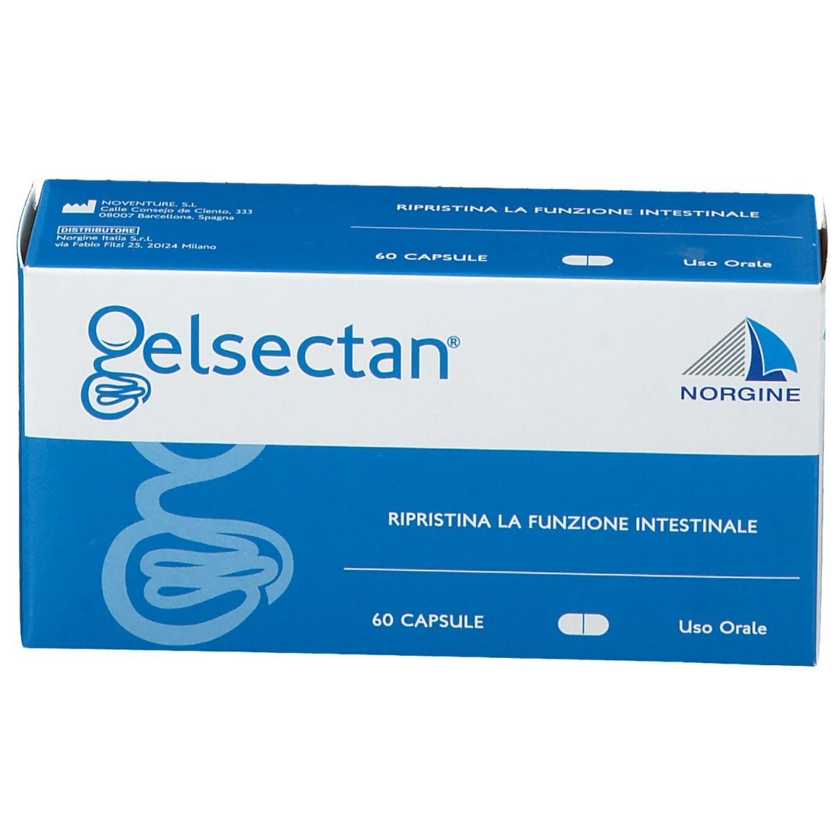 GELSECTAN 60 CAPSULE | 1000Farmacie