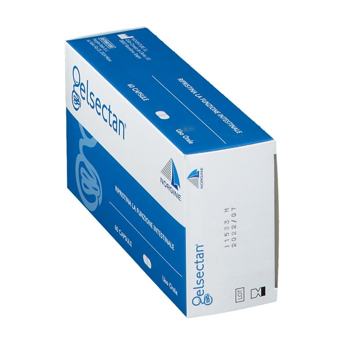 GELSECTAN 60 CAPSULE | 1000Farmacie